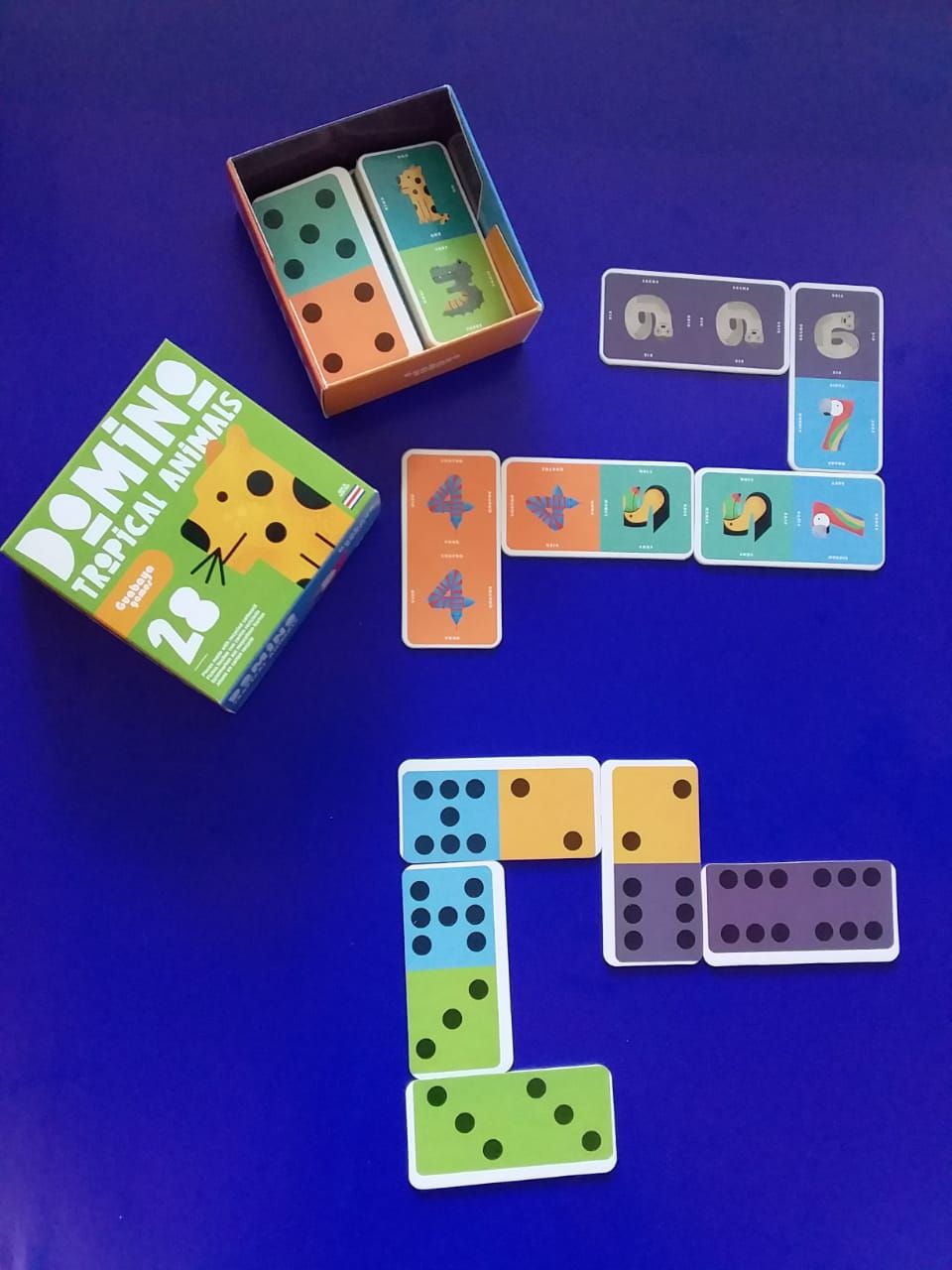 Domino Tropical Animals – Book and Toy